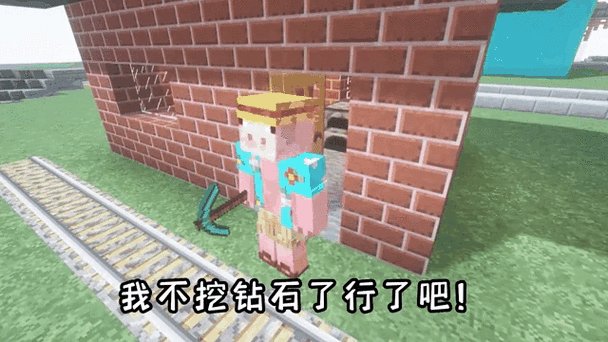 我的世界手臂消失图标