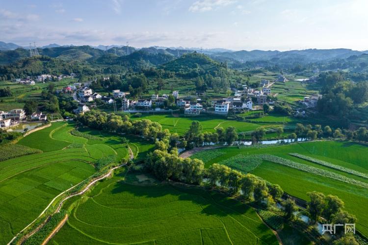 summer夏日乡村攻略图标