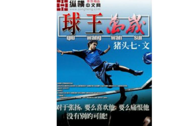 第三球王小说免费阅读截图