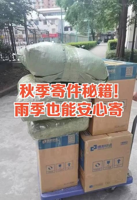 菜鸟裹裹寄件丢失怎么赔图标