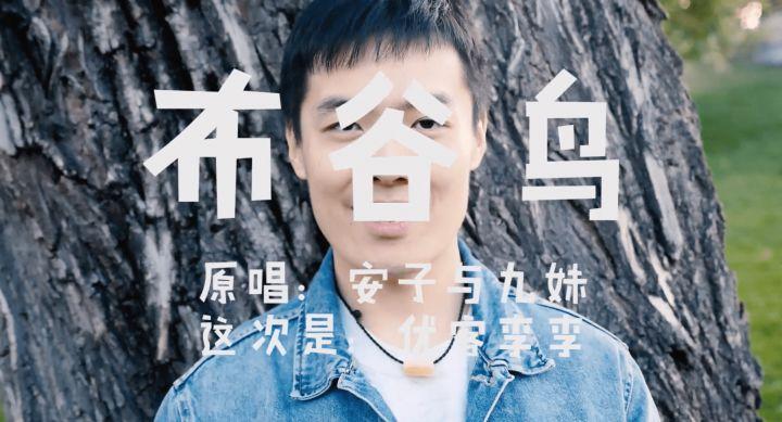微信布谷鸟提示音图标