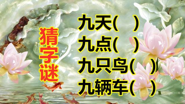 一个就加一个鸟是什么字图标