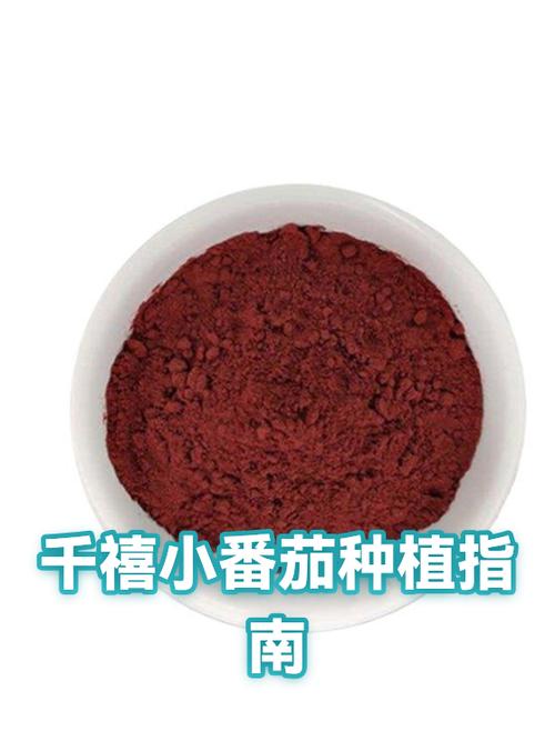 千禧小番茄是什么季节截图