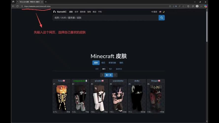 pcl2离线皮肤不显示图标