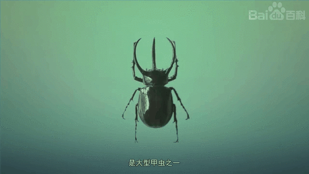 屏幕上有虫子爬的gif图标