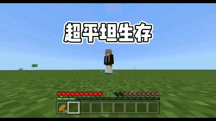 无建筑超平坦生存图标
