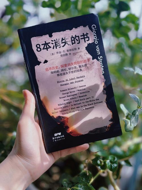 支付宝阅读突然不见了图标