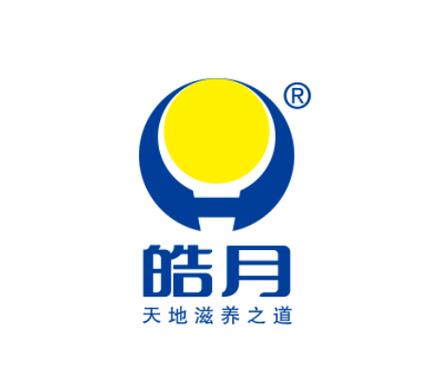 皓月软件图标