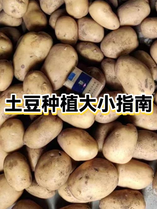 土豆群资源共享