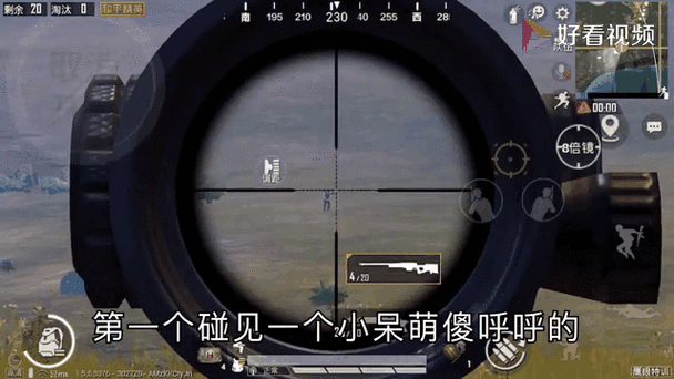 和平精英人太小怎么快速看清截图