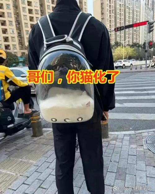 一只背包还是一个背包截图