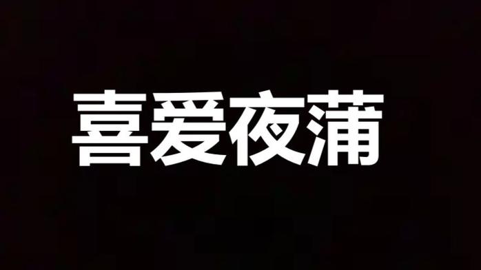 喜爱夜菊软件截图
