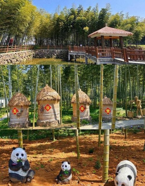 宜兴挖笋农家乐推荐图标