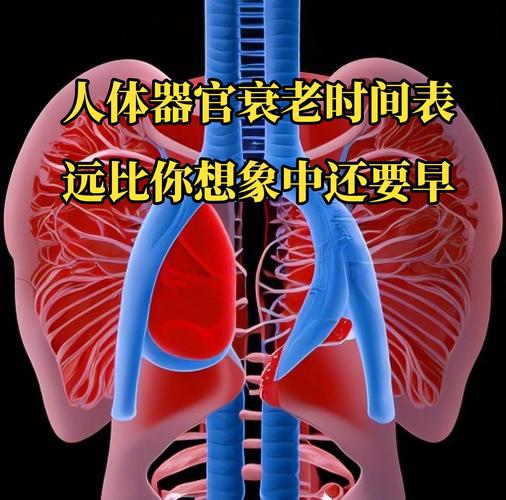 百度年龄计算器官网图标