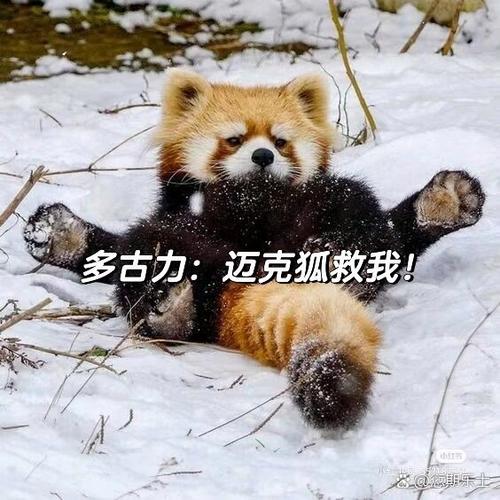 狐之恋本传图标