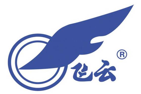 飞云互联图标