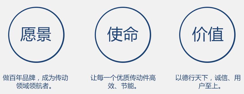 公司愿景与使命图标