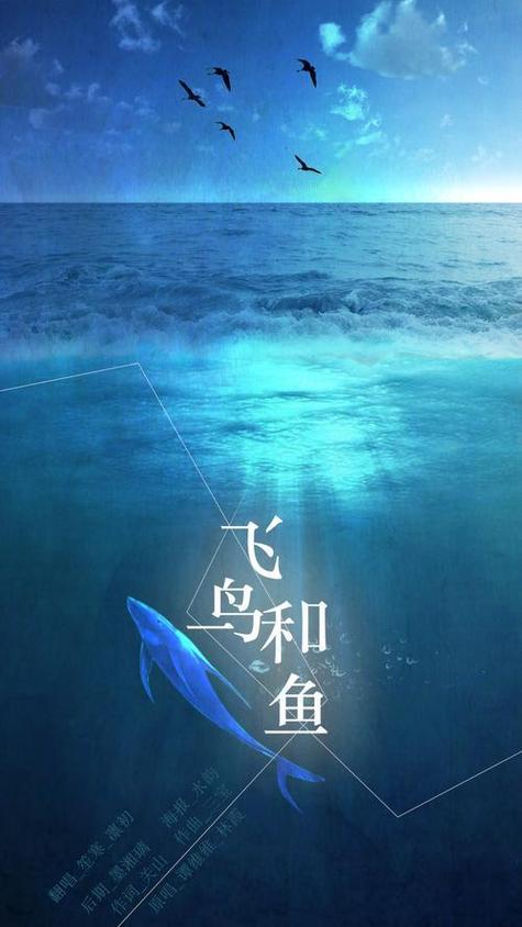 鱼儿爱上飞鸟截图
