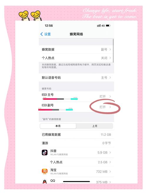 苹果信号满格却没网络怎么回事图标