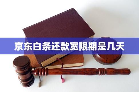 白条还款宽限期是几天截图