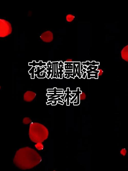 花瓣剪辑最新版本截图