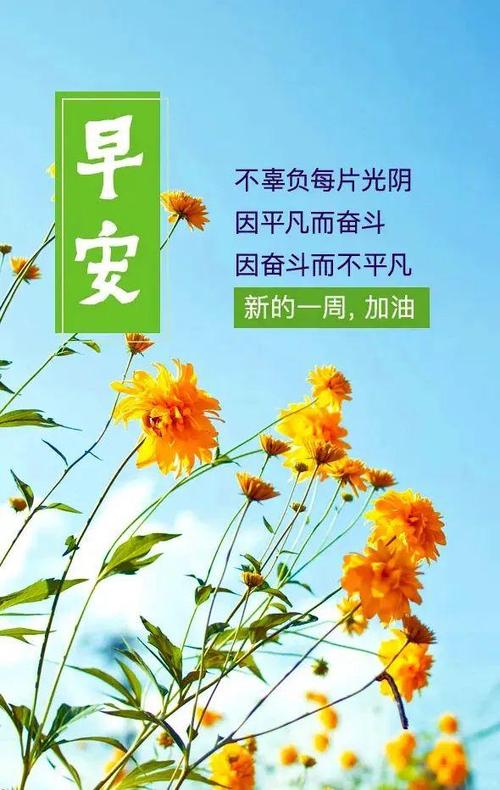 早上好经典语录100句图标