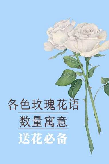 送花花语图标