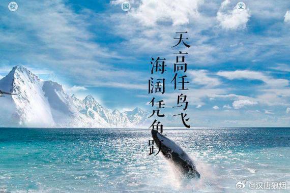 无限的自由图标