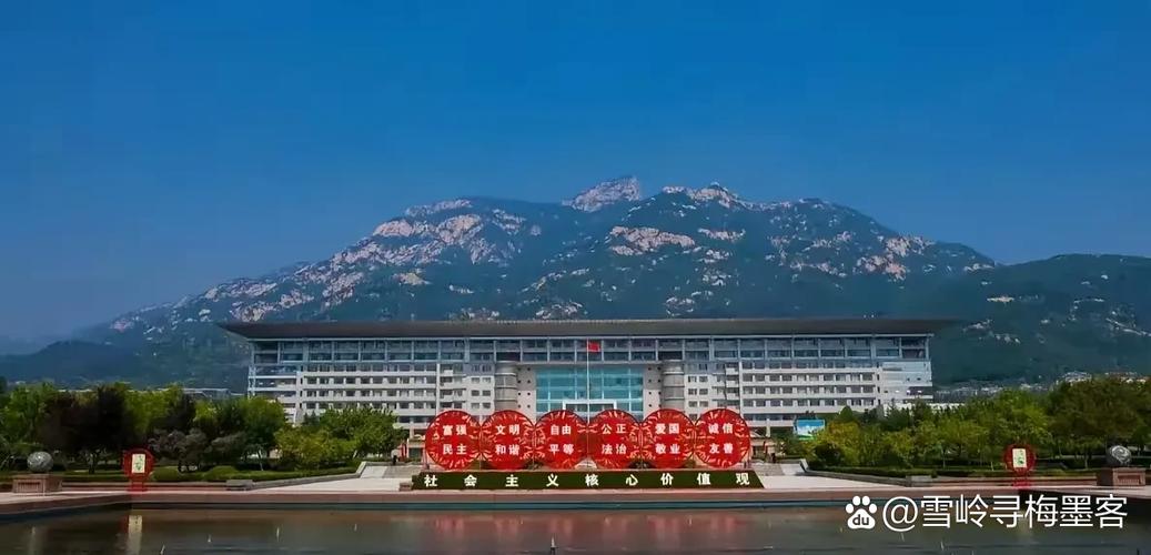 泰安市人民政府官网图标