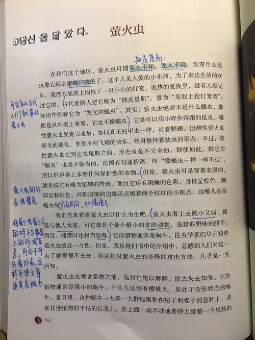 萤火阅读答案图标