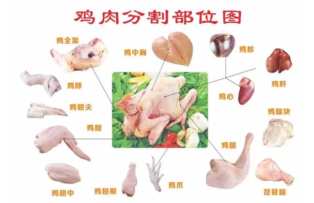 鸡各个部位名称图片图标