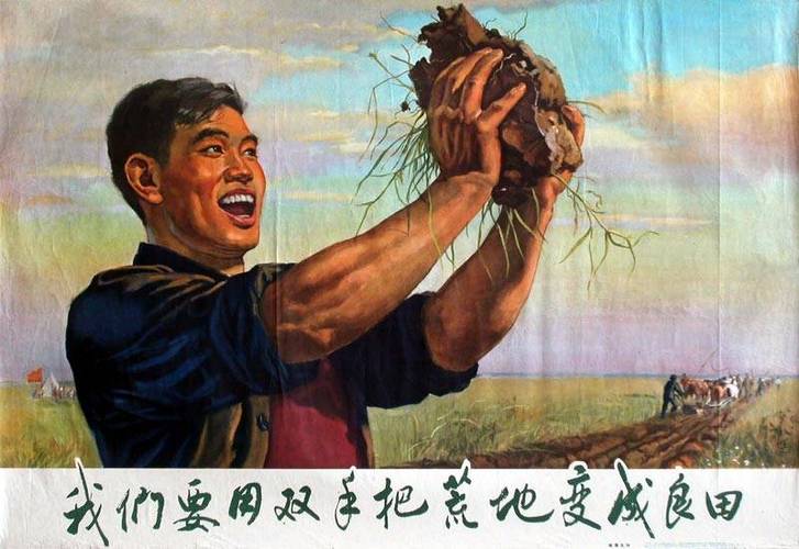 良田重生六十年代图标