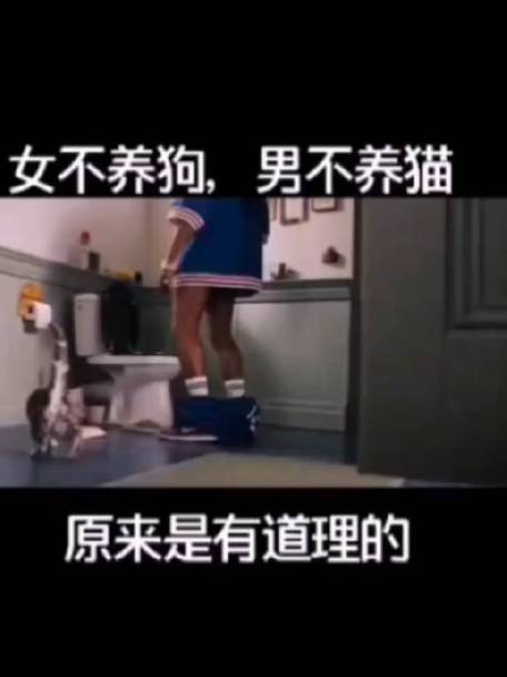 嫁人不嫁养猫男原因图标