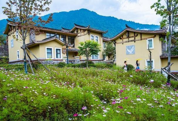 孟获村在哪里图标