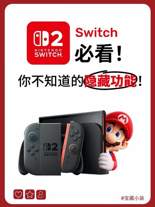 switch的隐藏功能图标