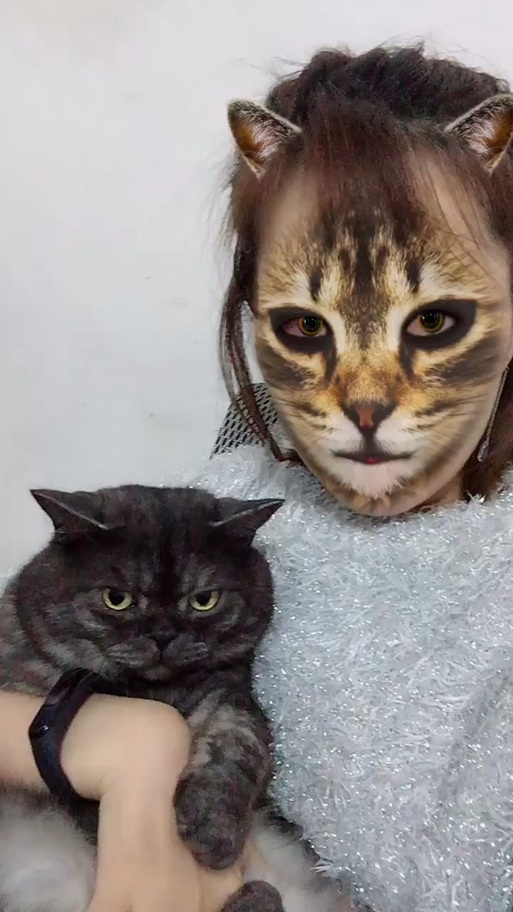 猫咪变脸特效是什么软件图标