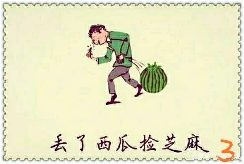 丢了西瓜捡芝麻的歇后语截图