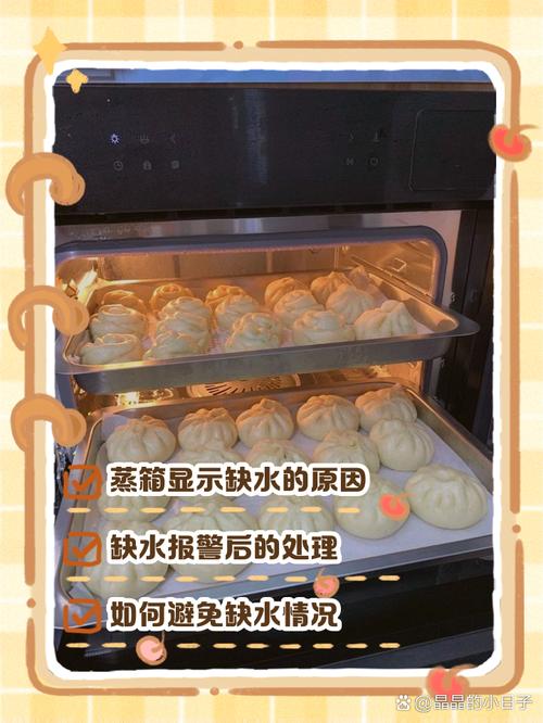 老板电蒸箱s225一直显示缺水图标