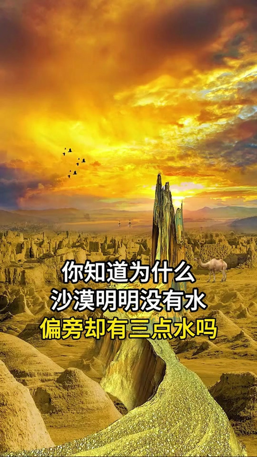 沙漠与水的小故事图标