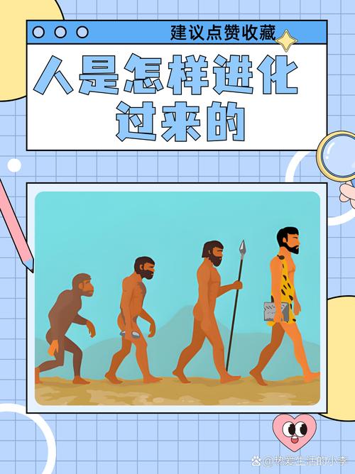 人的生命历程有哪些图标