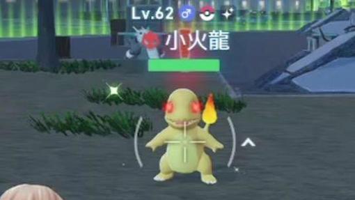 宝可梦za小火龙头目图标