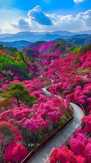 漫山遍野开满花的图片图标