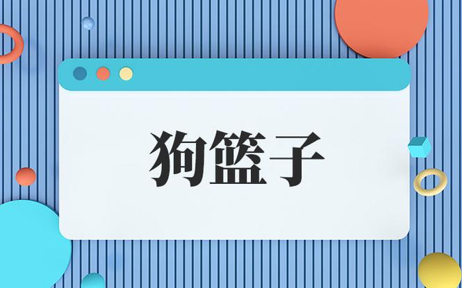 山东话狗篮子是什么意思截图