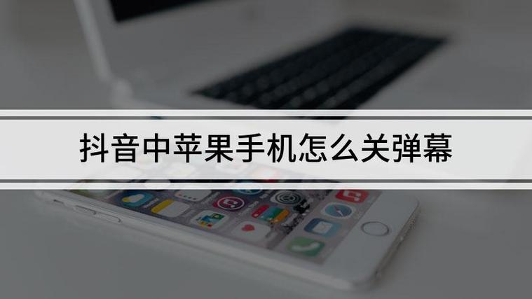苹果手机弹幕开关在哪截图