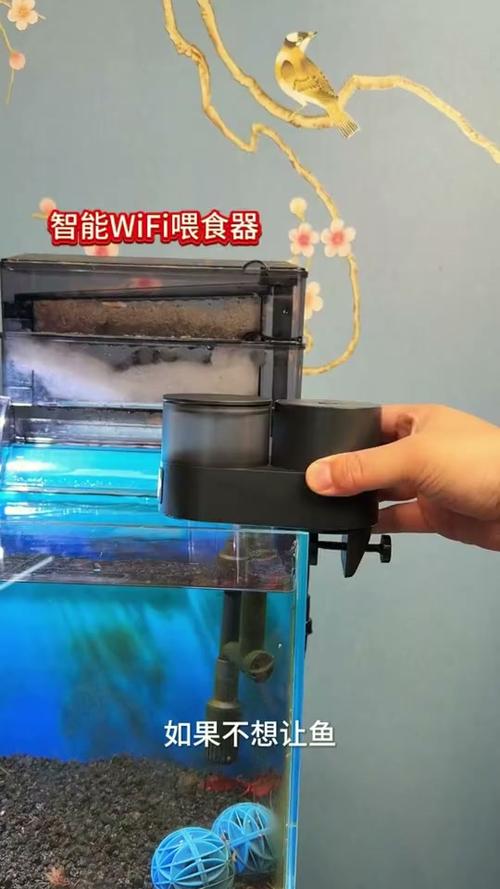 最建议买的自动喂鱼器截图