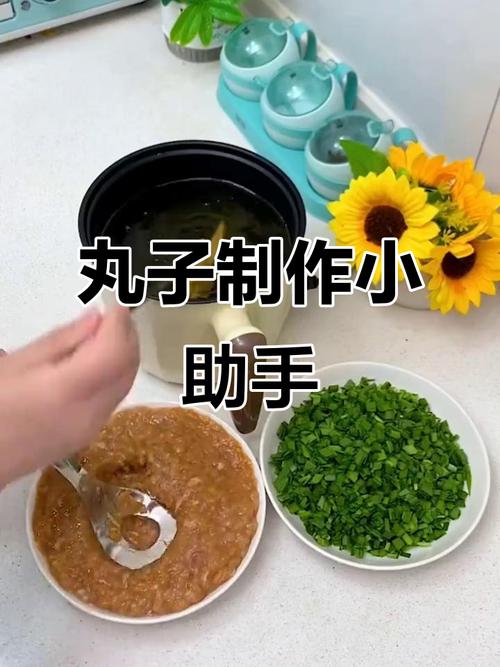 丸子网络科技有限公司图标