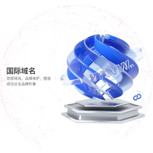 国际域名网