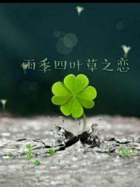 四叶草之恋图标