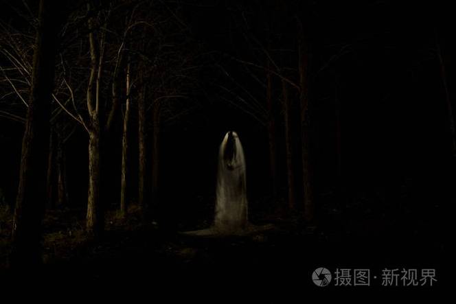 森林里有鬼吗图标