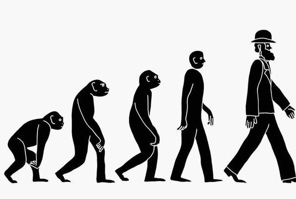 人类进化图标